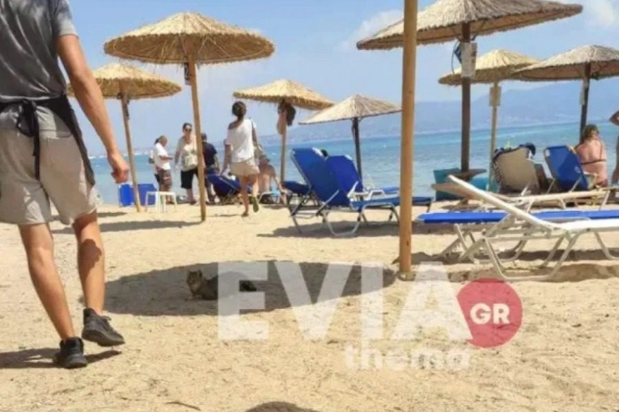 Αγκίστρι: Αντρας ξεψύχησε στην παραλία, μπροστά στη γυναίκα του | E ...