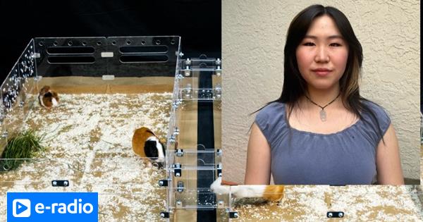 Πώς μια 12χρονη έφτιαξε με 2.000 δολάρια μια πετυχημένη επιχείρηση στην Amazon (pics) | E-Radio ...