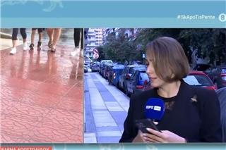 Σκύλος Ντόγκο Αρτζεντίνο κατασπάραξε μικρό κοκόνι | E-Radio.gr Ειδήσεις