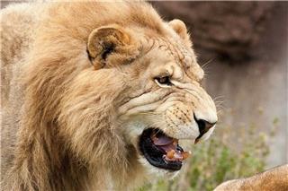 E-Radio Greece - The Hellenic Radio Portal | ακούστε όλα τα ελληνικά ...