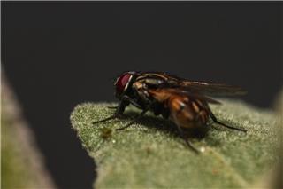 E-Radio Greece - The Hellenic Radio Portal | ακούστε όλα τα ελληνικά ...