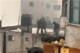 Σκύλος Ντόγκο Αρτζεντίνο κατασπάραξε μικρό κοκόνι | E-Radio.gr Ειδήσεις