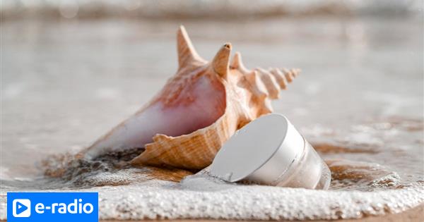 Σήμερα έμαθα: Γιατί «ακούμε τη θάλασσα» στα μεγάλα κοχύλια; | E-Radio ...